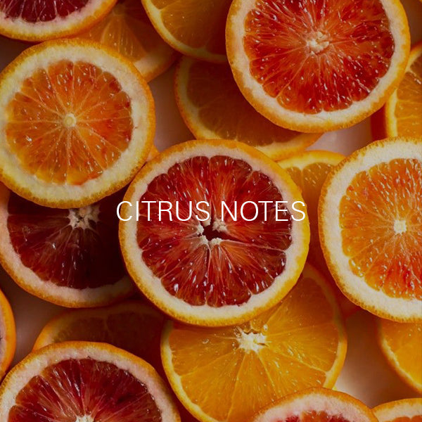 Citrus Fragrances - Best Citrus Perfumes in Pakistan (Him/Her) – INSCENT